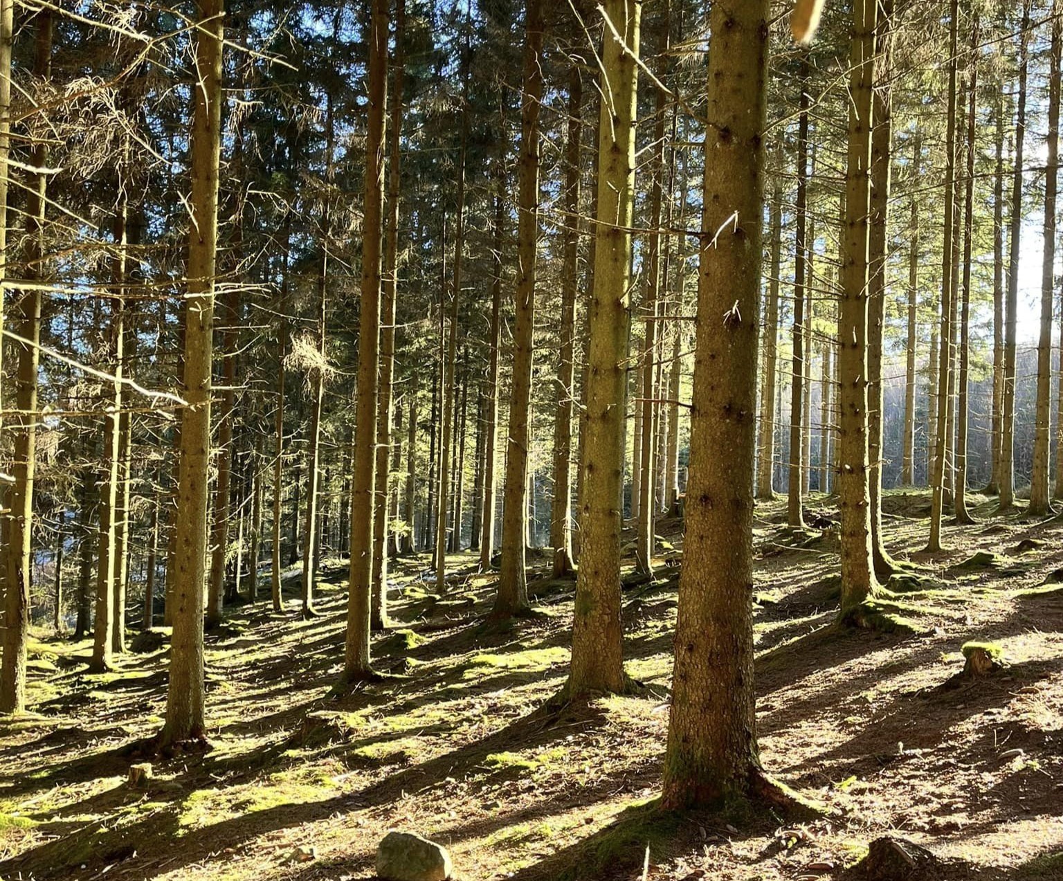 Hitta Rätt hösten 2023! - Friluftsfrämjandet