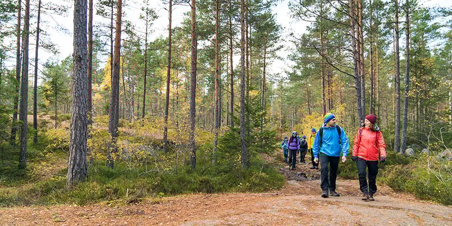 Vandring - Friluftsfrämjandet
