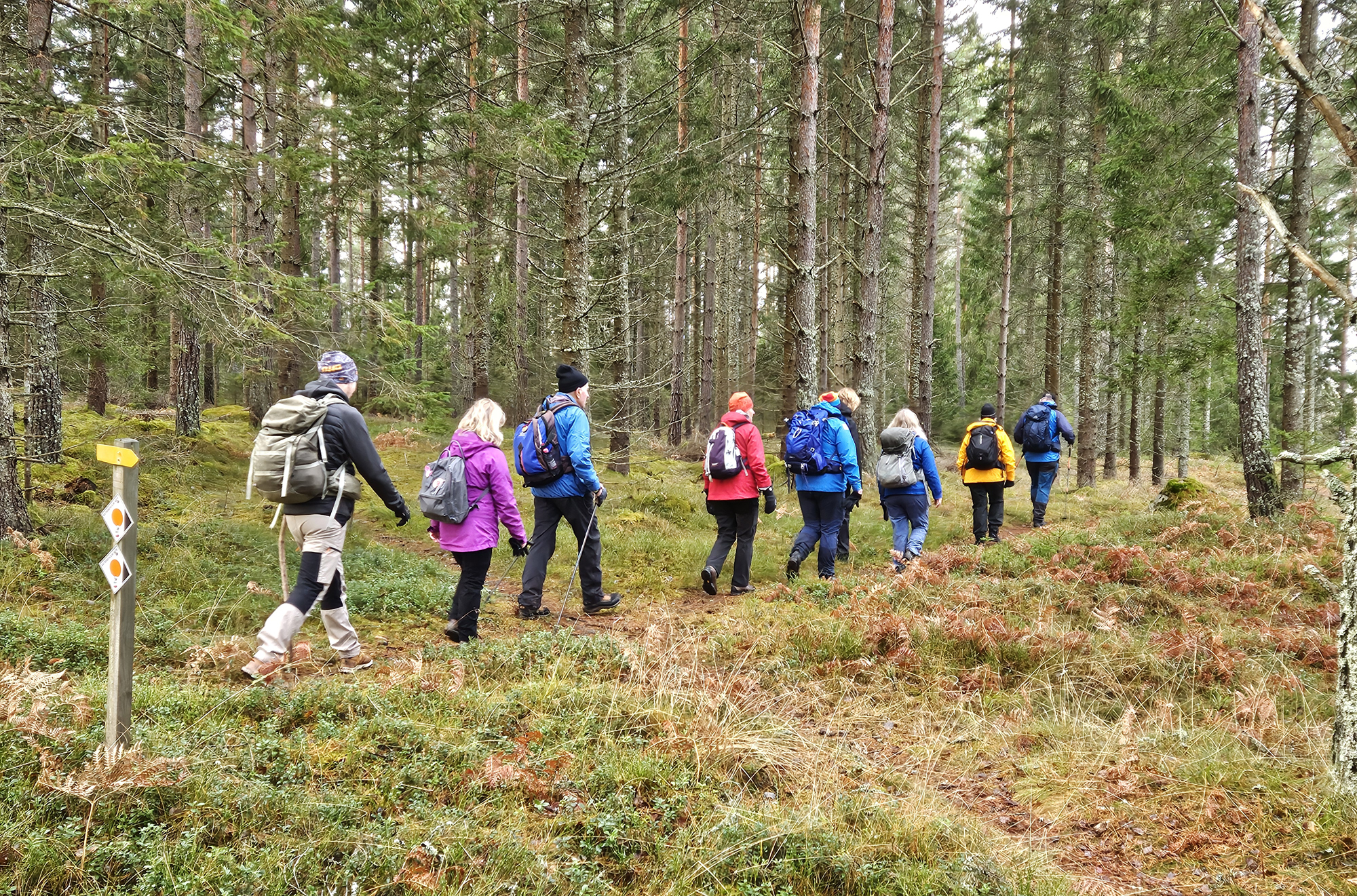Vandringar hösten 2024 - Friluftsfrämjandet