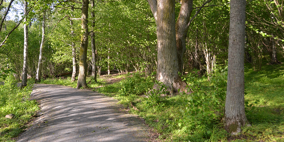 2025-12-26 - Friluftsfrämjandet